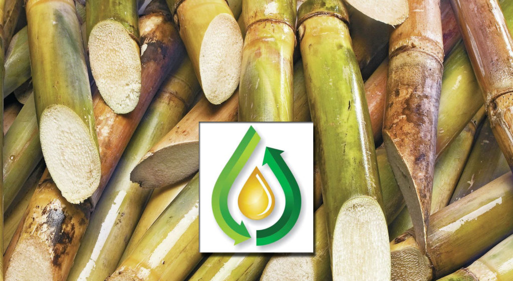 Biofuel and Biomass Certification Standard